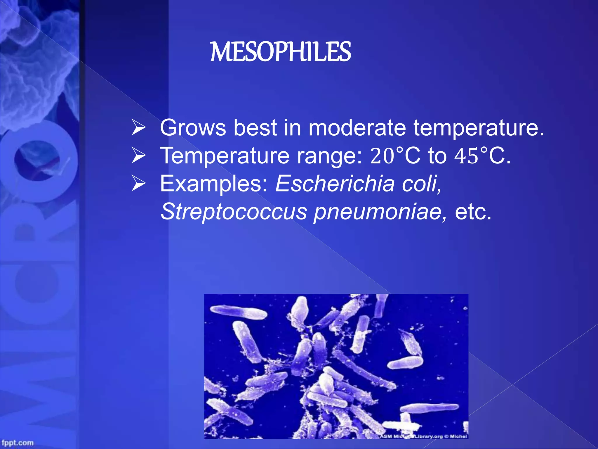 Microbial growth | PPTX