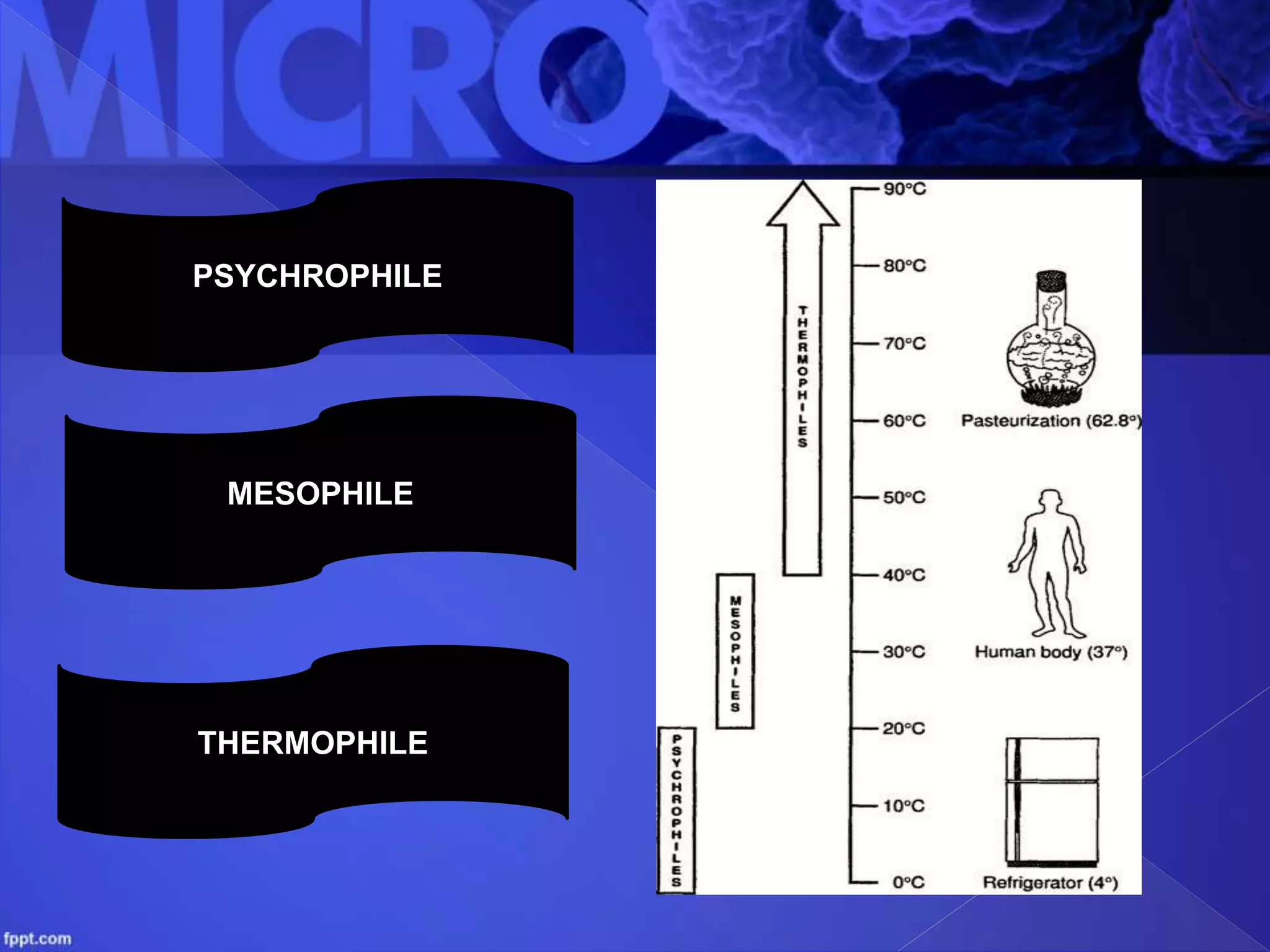 Microbial growth | PPTX