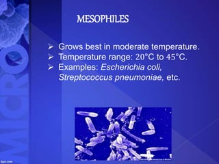Microbial growth | PPTX