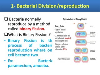 Microbial growth | PPTX