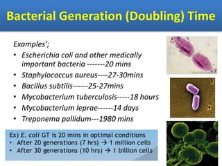 Microbial growth | PPTX