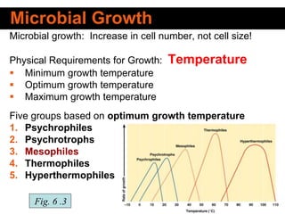 Microbial Growth.ppt