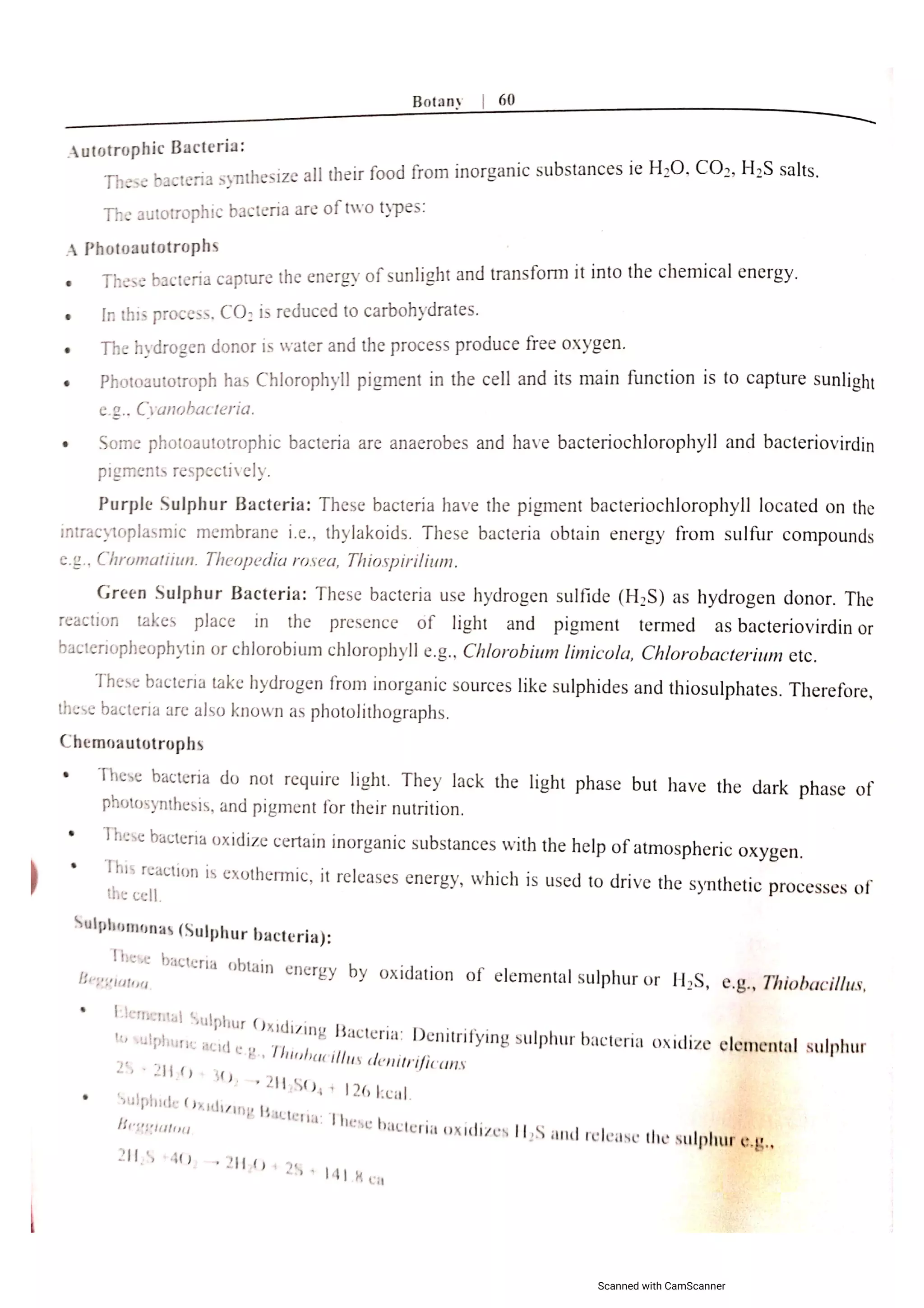 Microbial growth.pdf