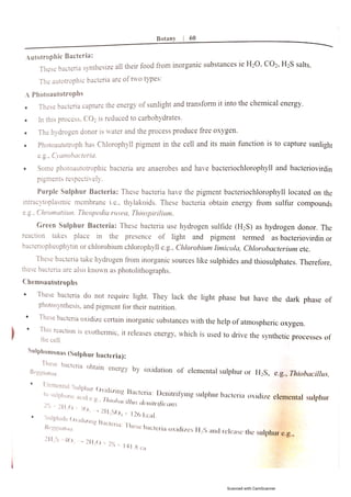 Microbial growth.pdf
