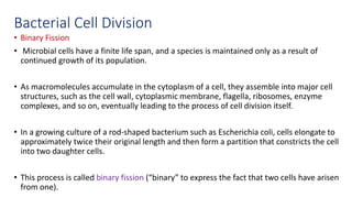 Microbial Growth.pptx............................... | PPTX | Biological Sciences | Science