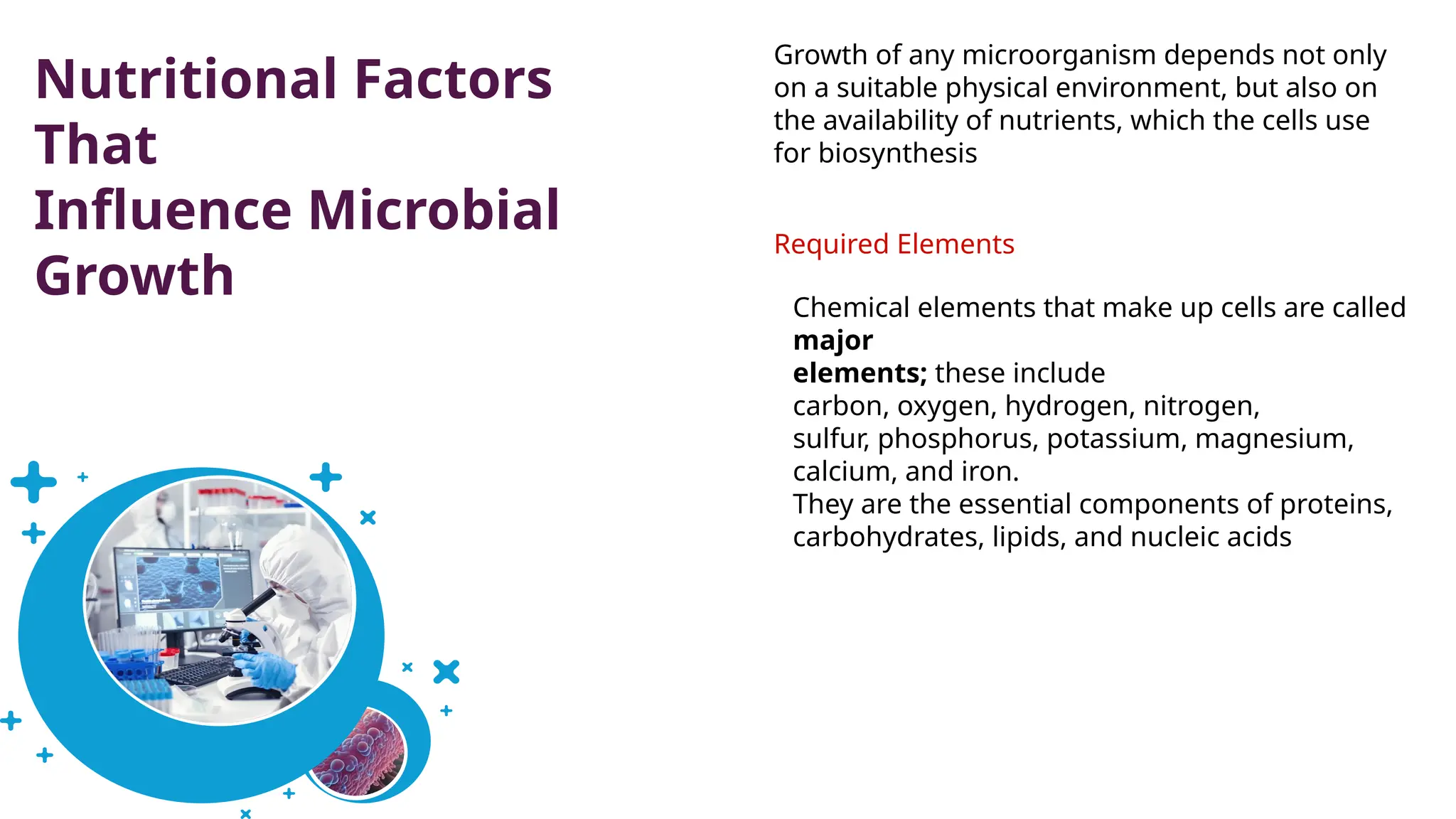 Microbial Growth.pptx microbiology uoh pak | PPTX
