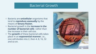 Microbial Growth and its phases and calculation of microbial growth | PPTX