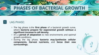 Microbial Growth and its phases and calculation of microbial growth | PPTX