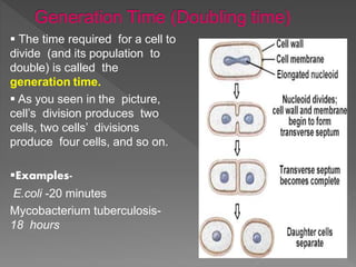 Microbial growth | PPTX