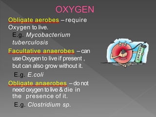 Microbial growth | PPTX