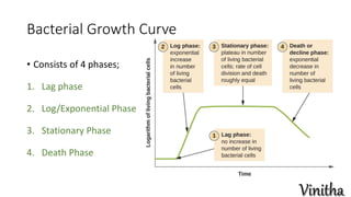Microbial growth | PPT