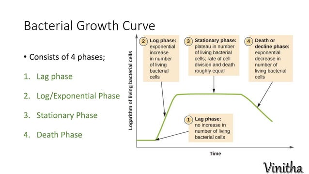 Microbial growth | PPT