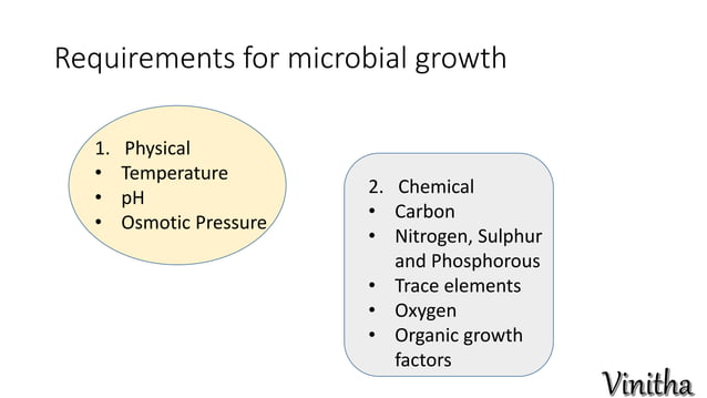 Microbial growth | PPT