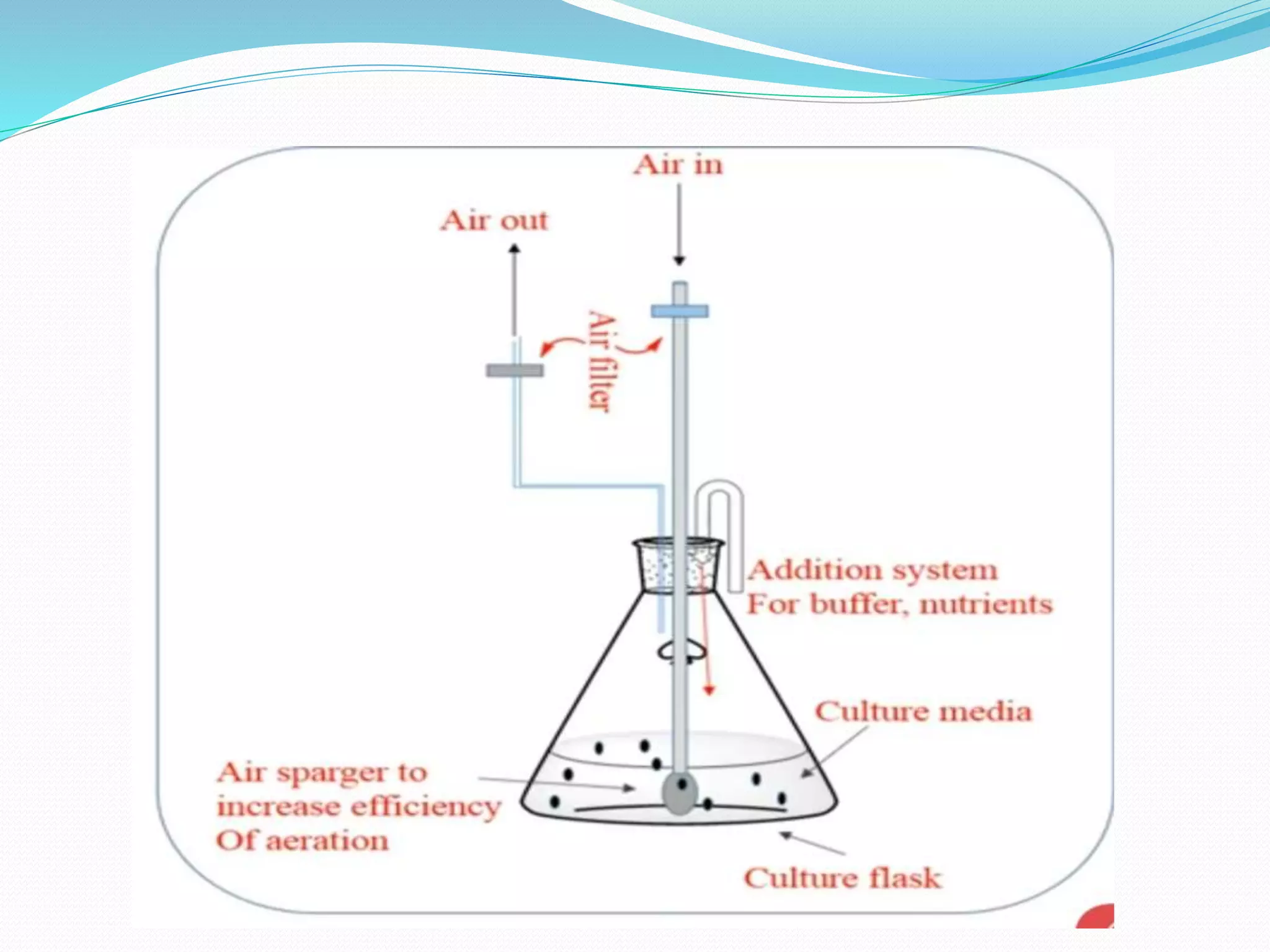 MICROBIAL GROWTH ( BATCH CULTURE).pptx