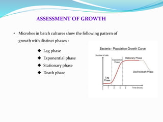 MICROBIAL GROWTH ( BATCH CULTURE).pptx