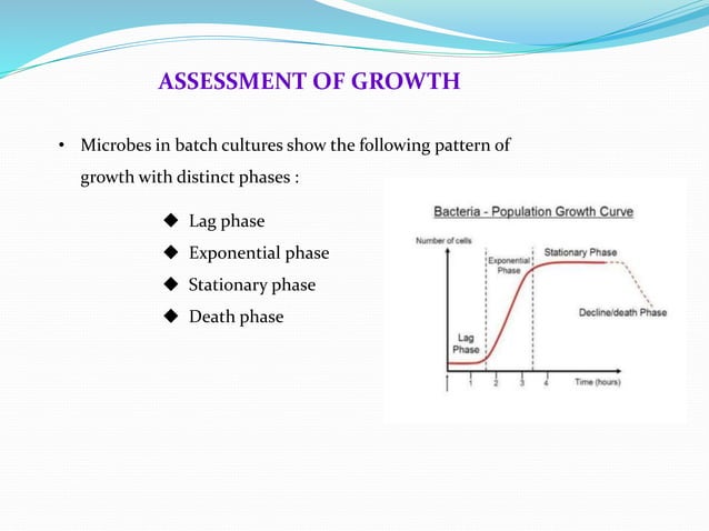 MICROBIAL GROWTH ( BATCH CULTURE).pptx