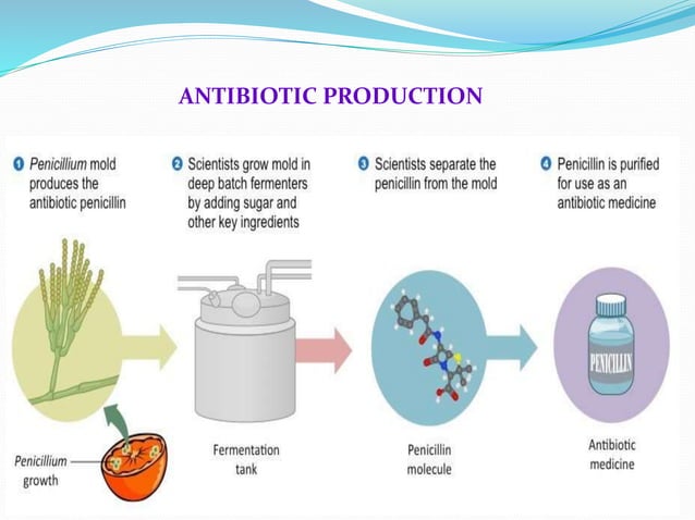 MICROBIAL GROWTH ( BATCH CULTURE).pptx