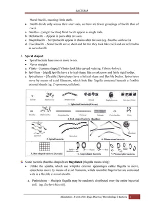 Bacteria - Structure, Cell Wall Classification, Nutrition ...