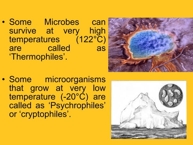 Microbiology world & Microbial habitat | PPT | Chemistry | Science