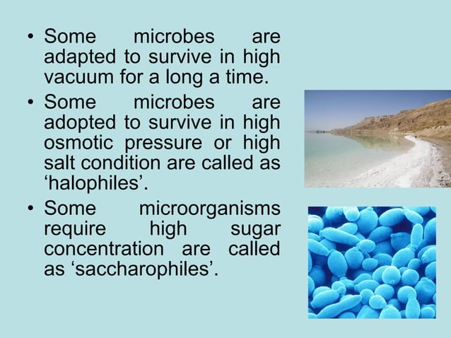 Microbiology world & Microbial habitat | PPT | Chemistry | Science