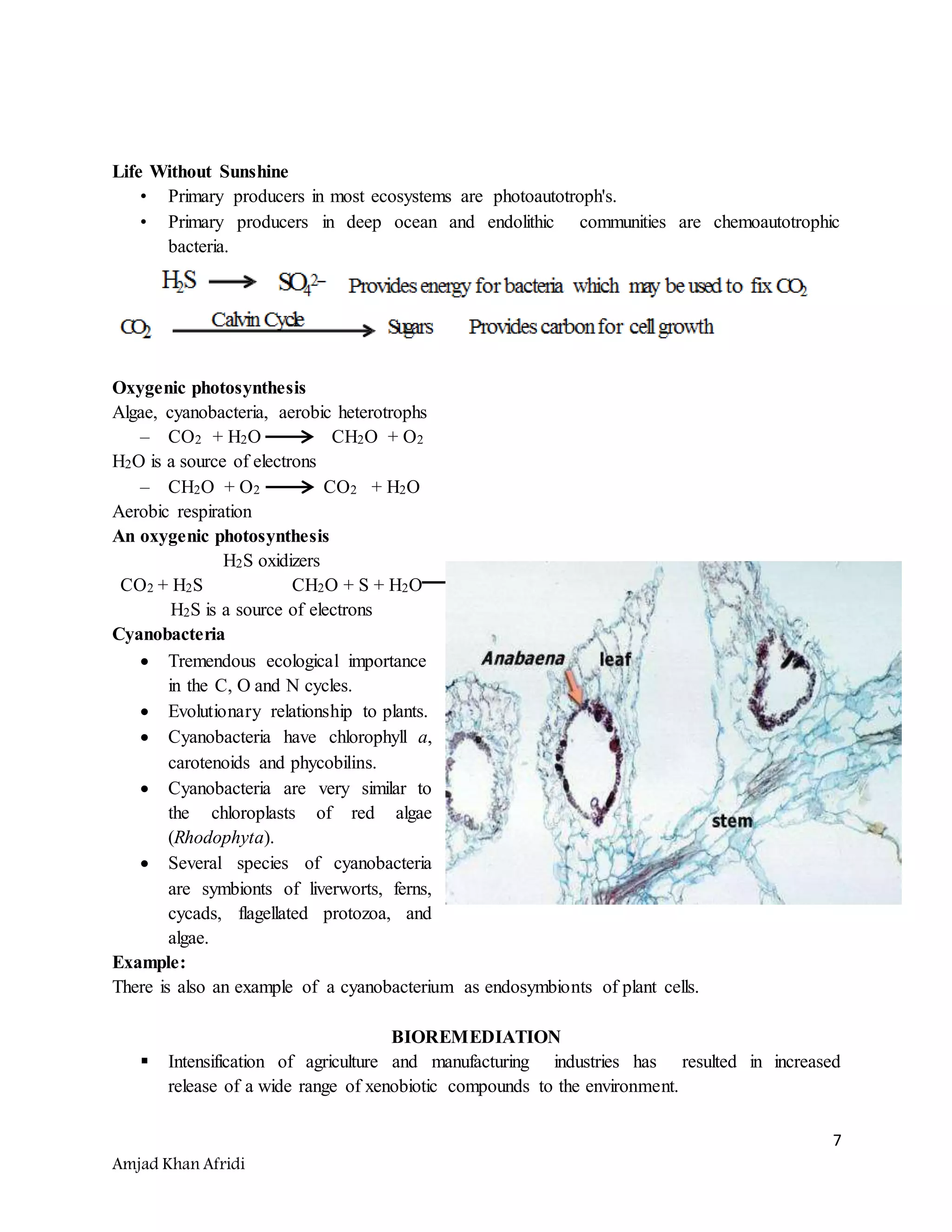 Microbial habitats | DOCX