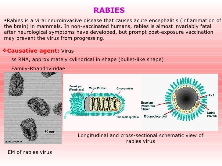 Microbial Human Diseases