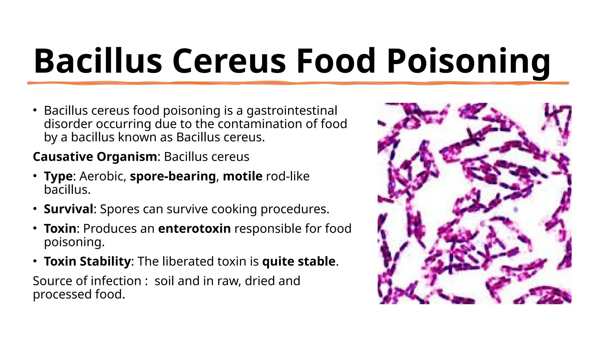 Microbial Infections and Foodborne Intoxications. | PPTX