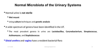 Microbial infections of Genitourinary system.pptx