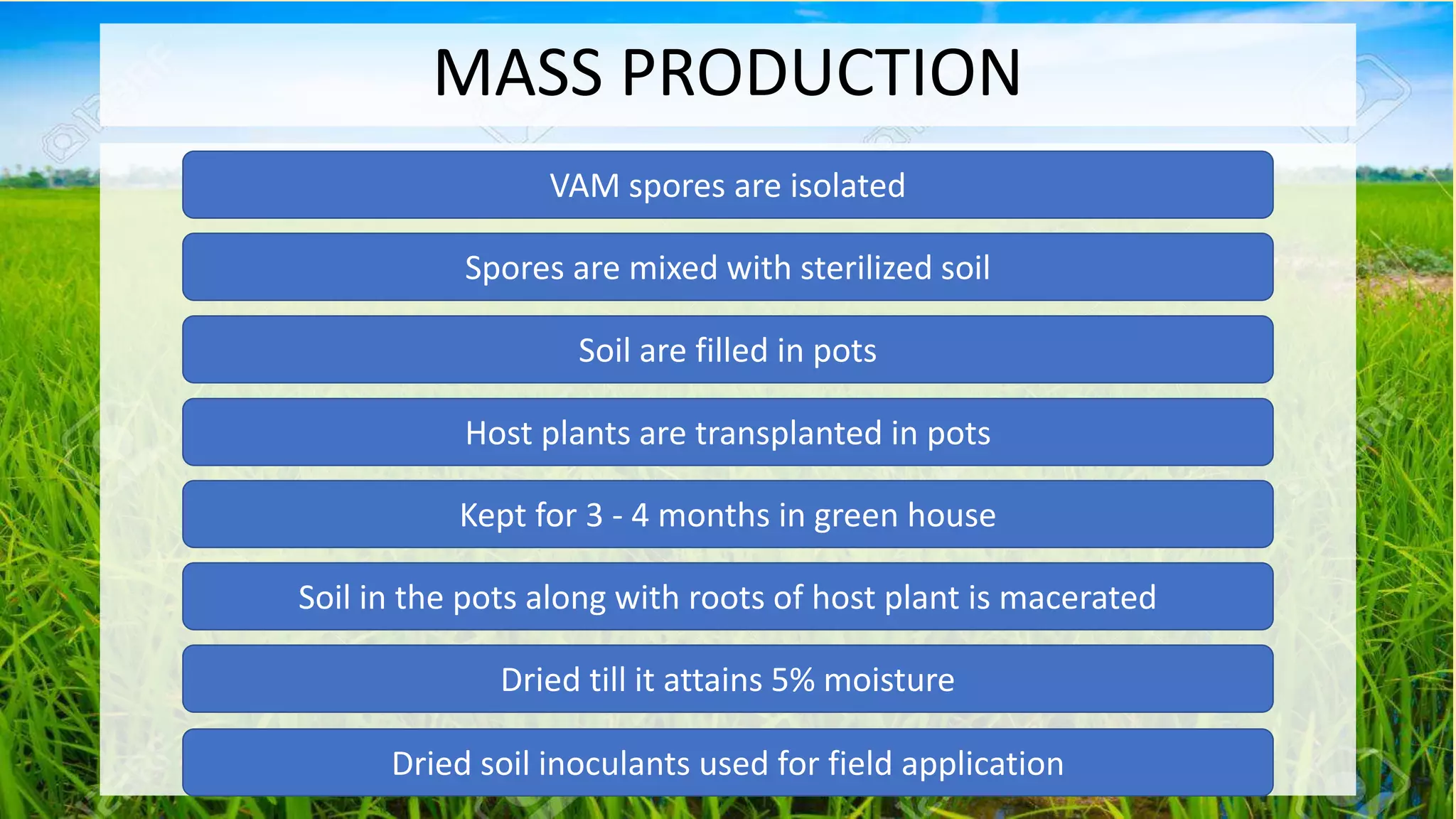 Microbial inoculant | PPTX