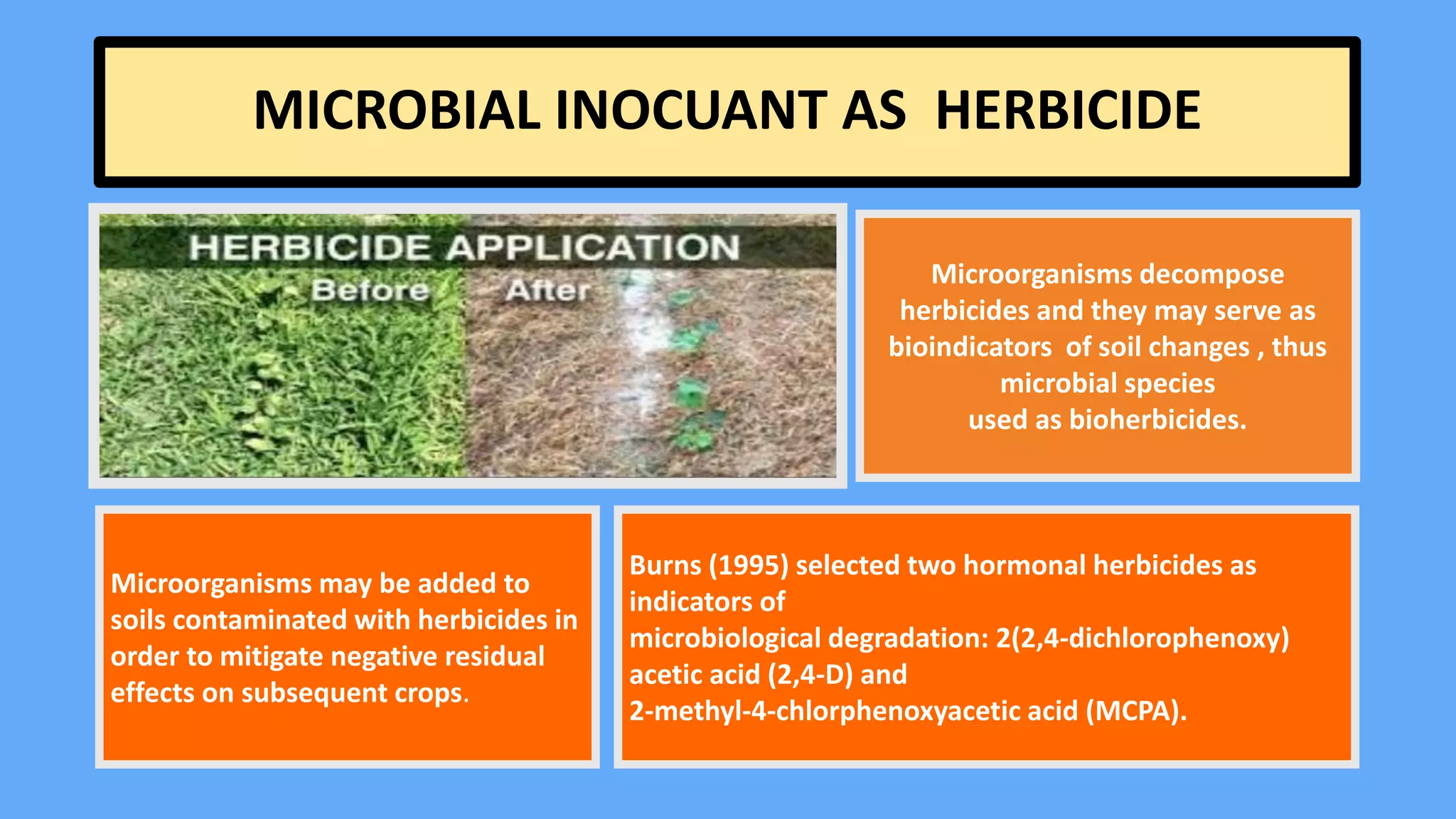 Microbial inoculant | PPTX