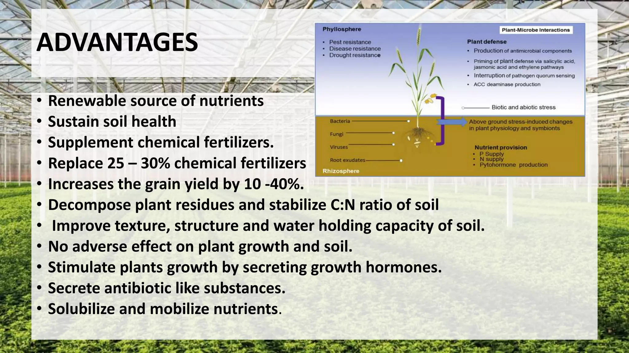 Microbial inoculant | PPTX