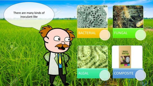 Microbial inoculant | PPTX