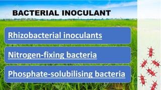 Microbial inoculant | PPTX