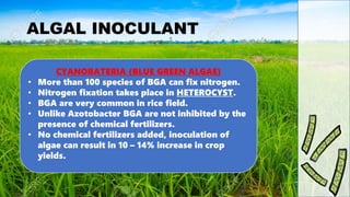 Microbial inoculant | PPTX