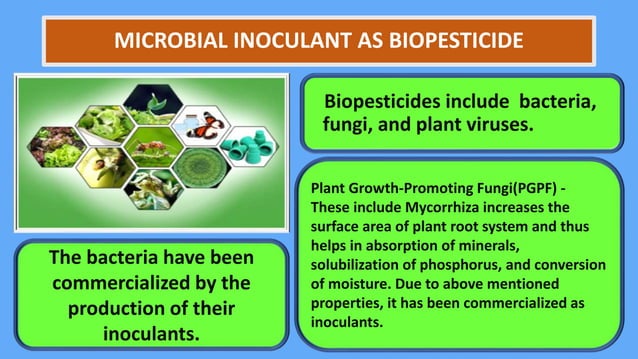 Microbial inoculant | PPTX