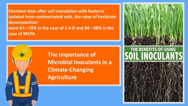 Microbial inoculant | PPTX