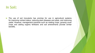 Microbial Inoculants.pptx