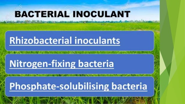 Microbial Inoculants.pptx | Agriculture | Industries