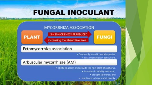 Microbial Inoculants.pptx | Agriculture | Industries