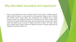 Microbial Inoculants.pptx