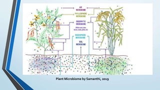 Microbial inoculants defined, types, importance, advantages.pptx