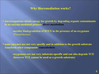 Microbial inorganic chemistry bioremidiation.ppt