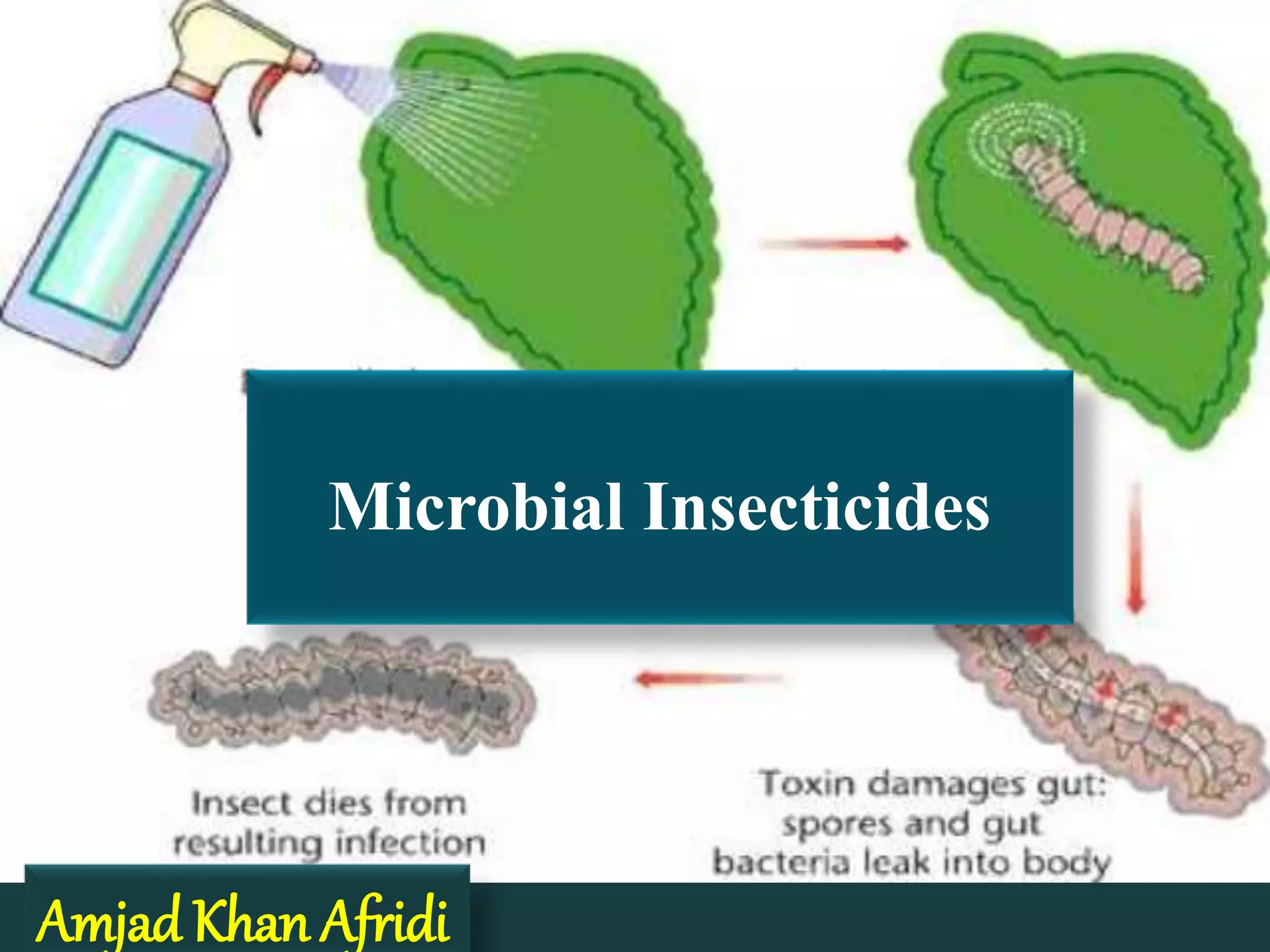 Microbial insecticidals | PPTX