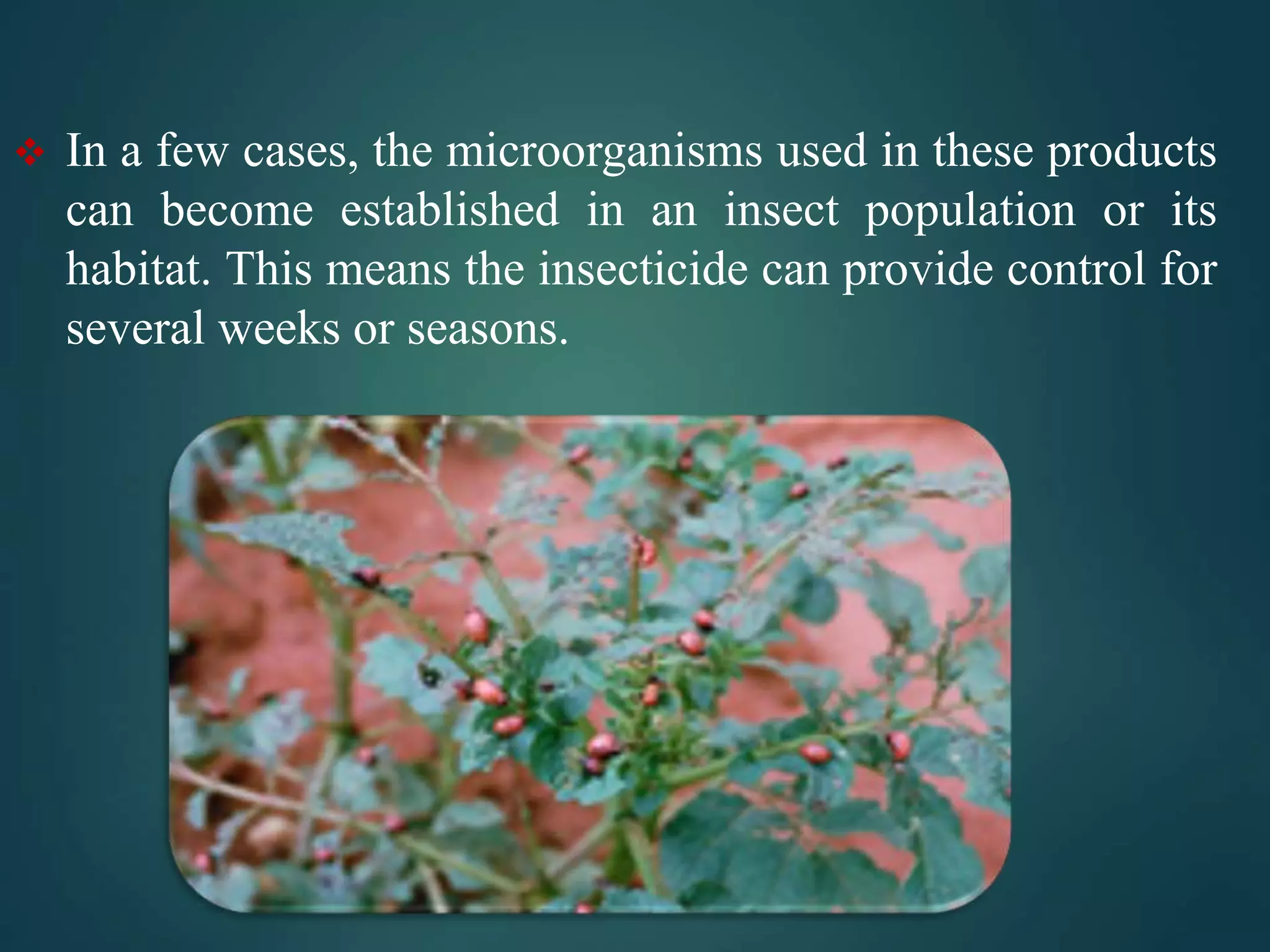 Microbial insecticidals | PPTX