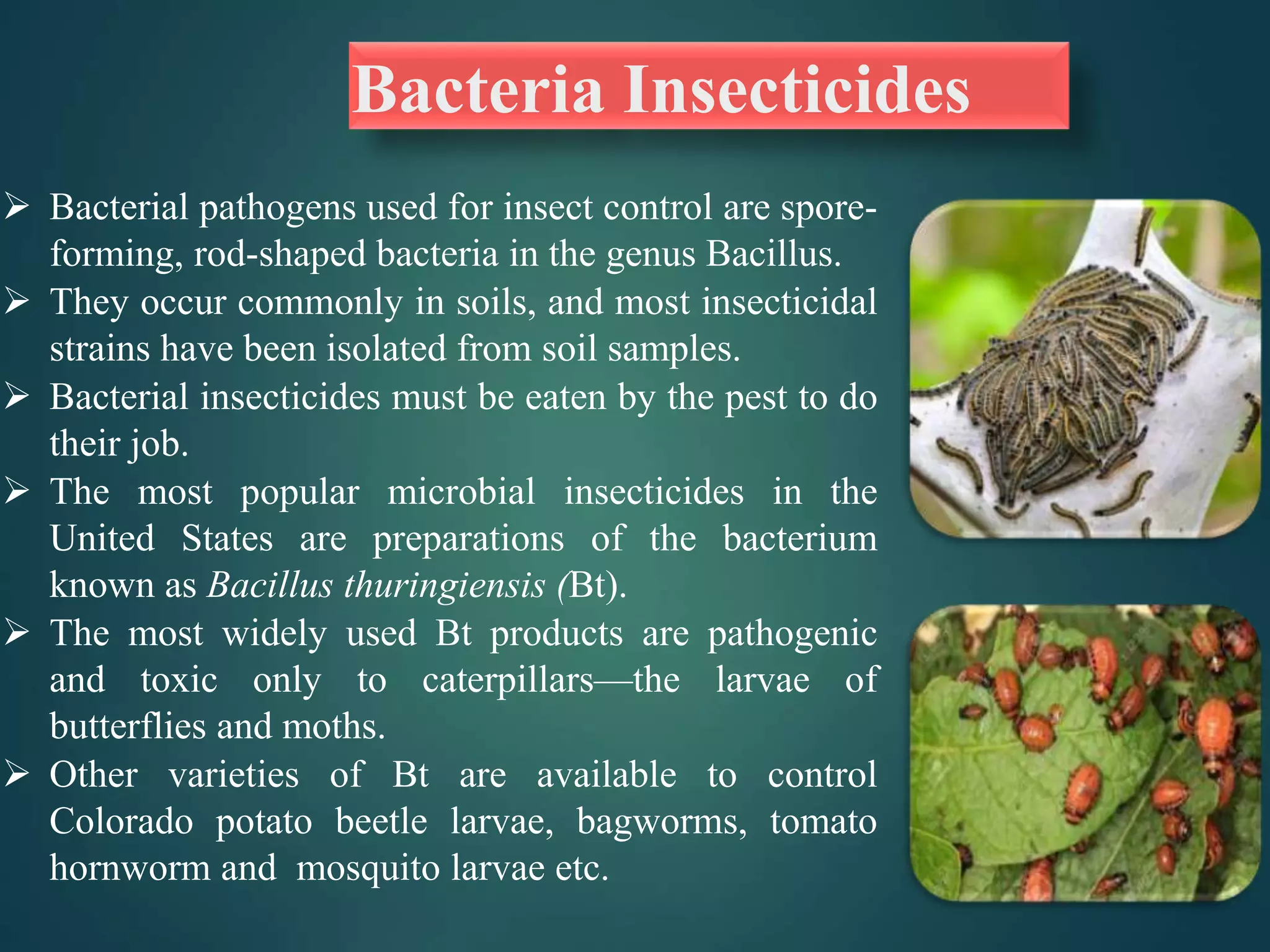 Microbial insecticidals | PPTX