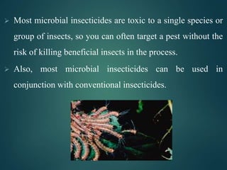 Microbial insecticidals | PPTX