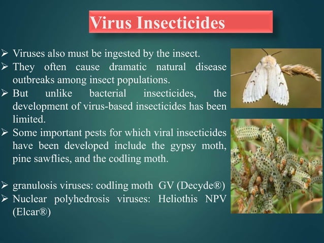 Microbial insecticidals | PPTX | Science