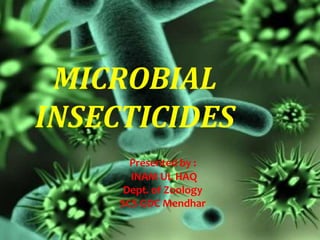 microbial insecticides -190226105241.pptx