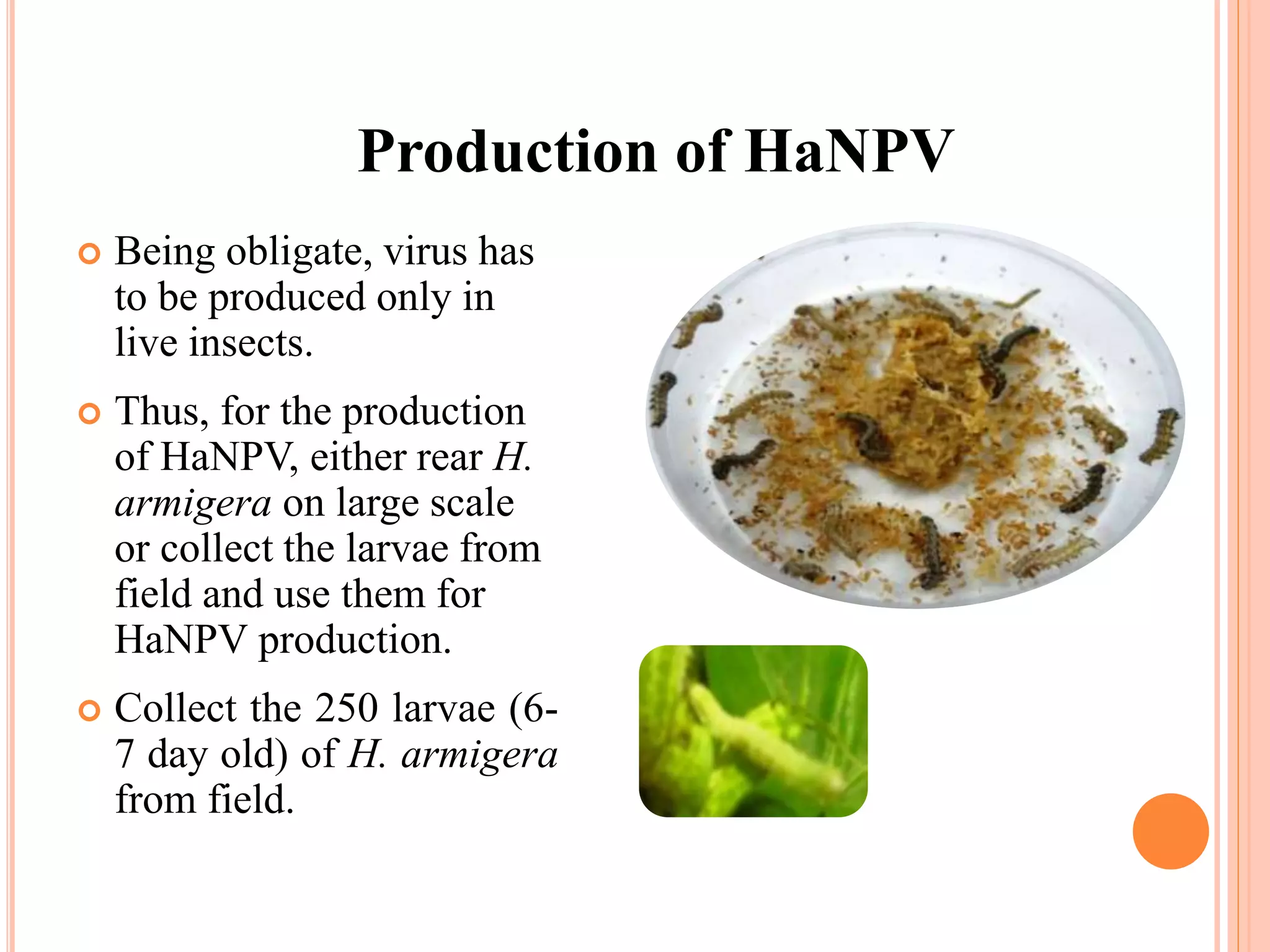 Microbial insecticides | PPTX