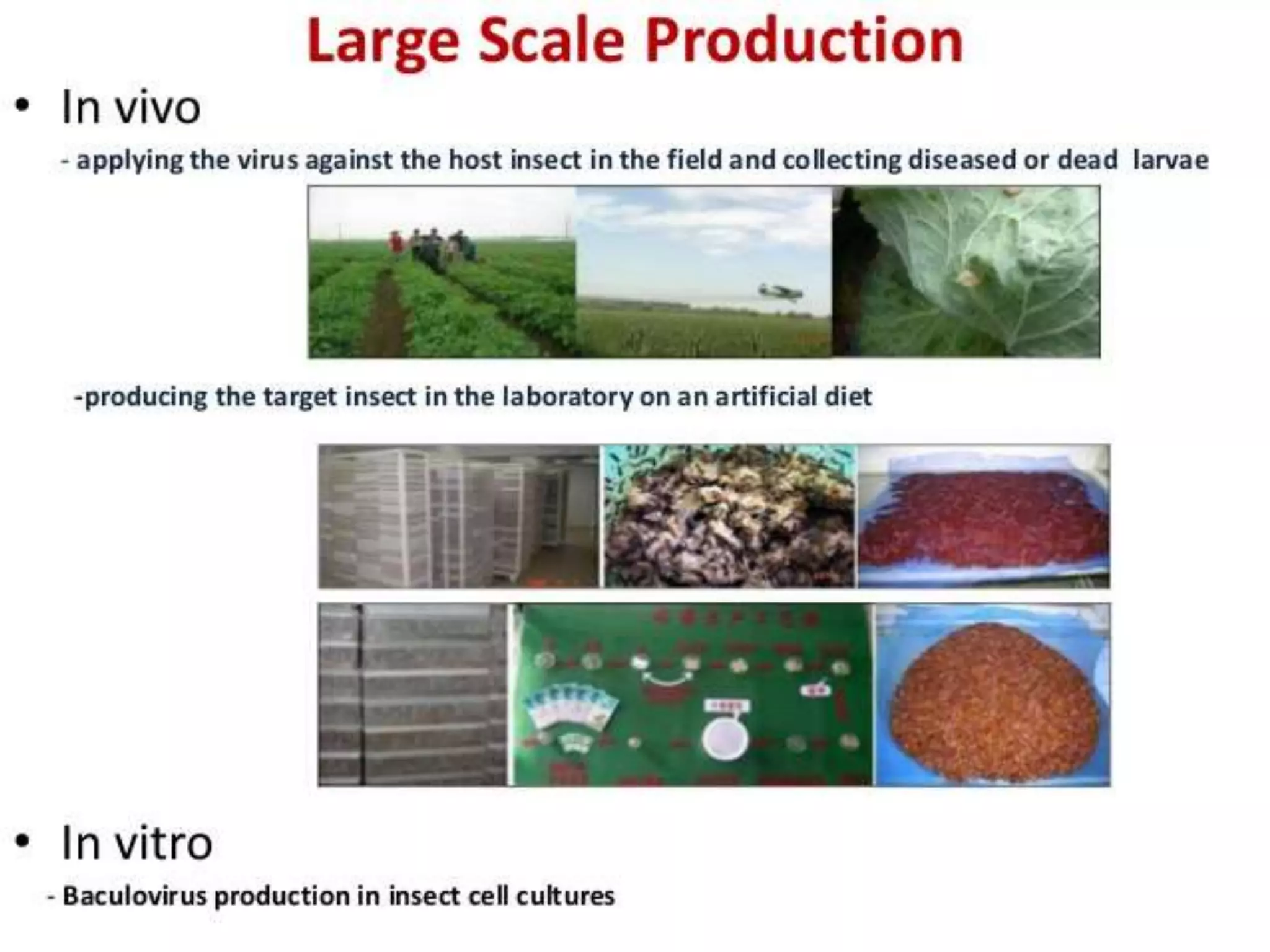 Microbial insecticides | PPTX